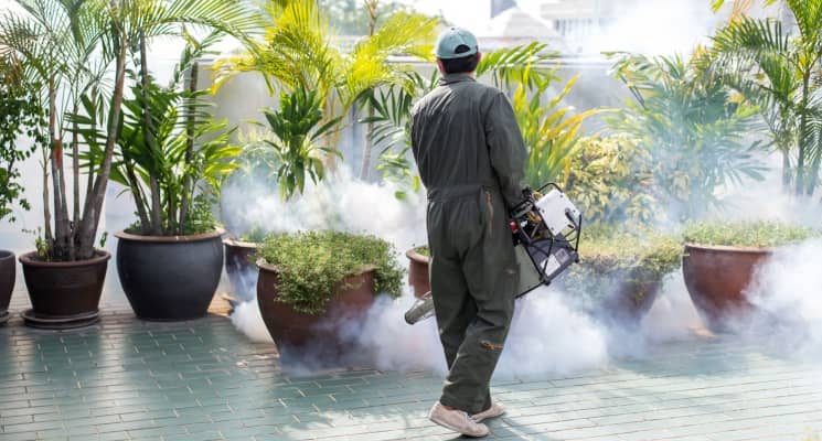 Top 6 Mosquito Control Methods Used by Dubai Experts - ServiceMarket Blog